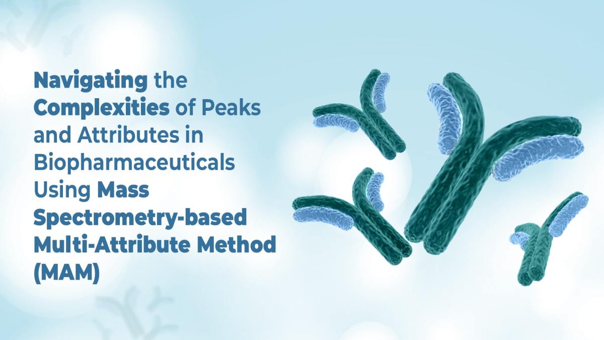 Navigating the Complexities of Peaks and Attributes in ...